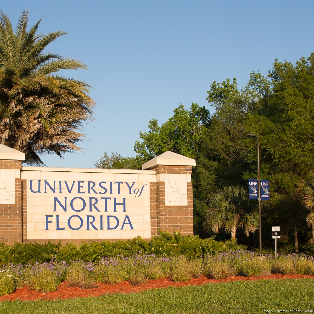 University Of Florida Approved Vendor List