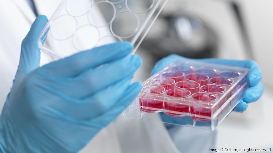 German biotech Miltenyi Biotec moving North American HQ to Gaithersburg ...