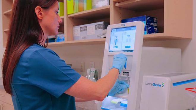 COVID-19 diagnostic test makers see 'regulatory labyrinth' amid ...