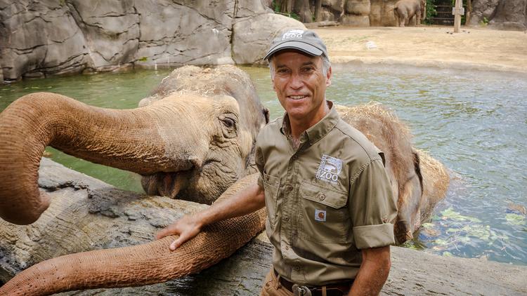 Cincinnati Zoo’s new exhibit gets up close with kangaroos, penguins ...