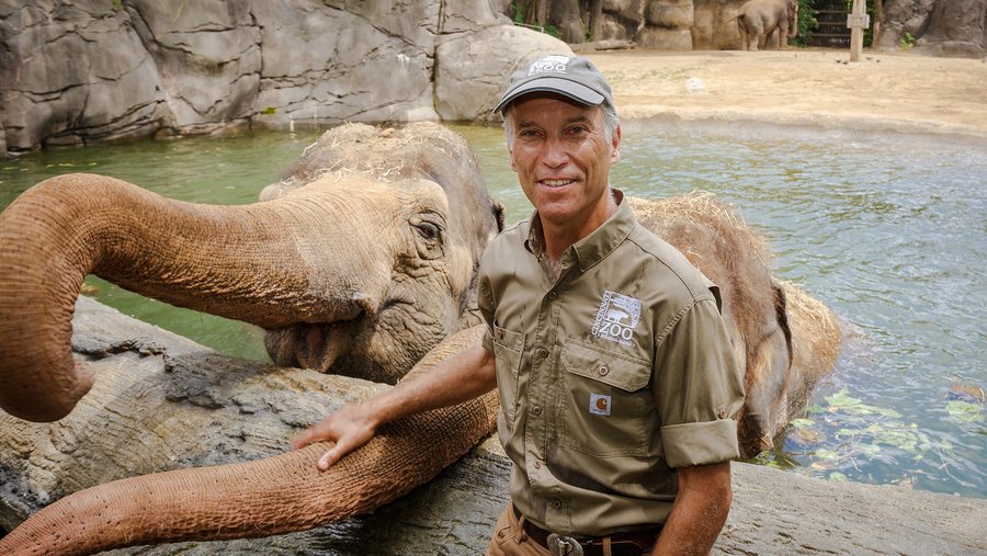 Cincinnati Zoo’s new exhibit gets up close with kangaroos, penguins ...