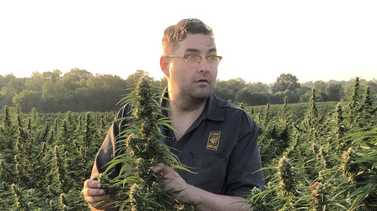 Louisville's Cornbread Hemp utilizes bourbon distilling for CBD oil ...