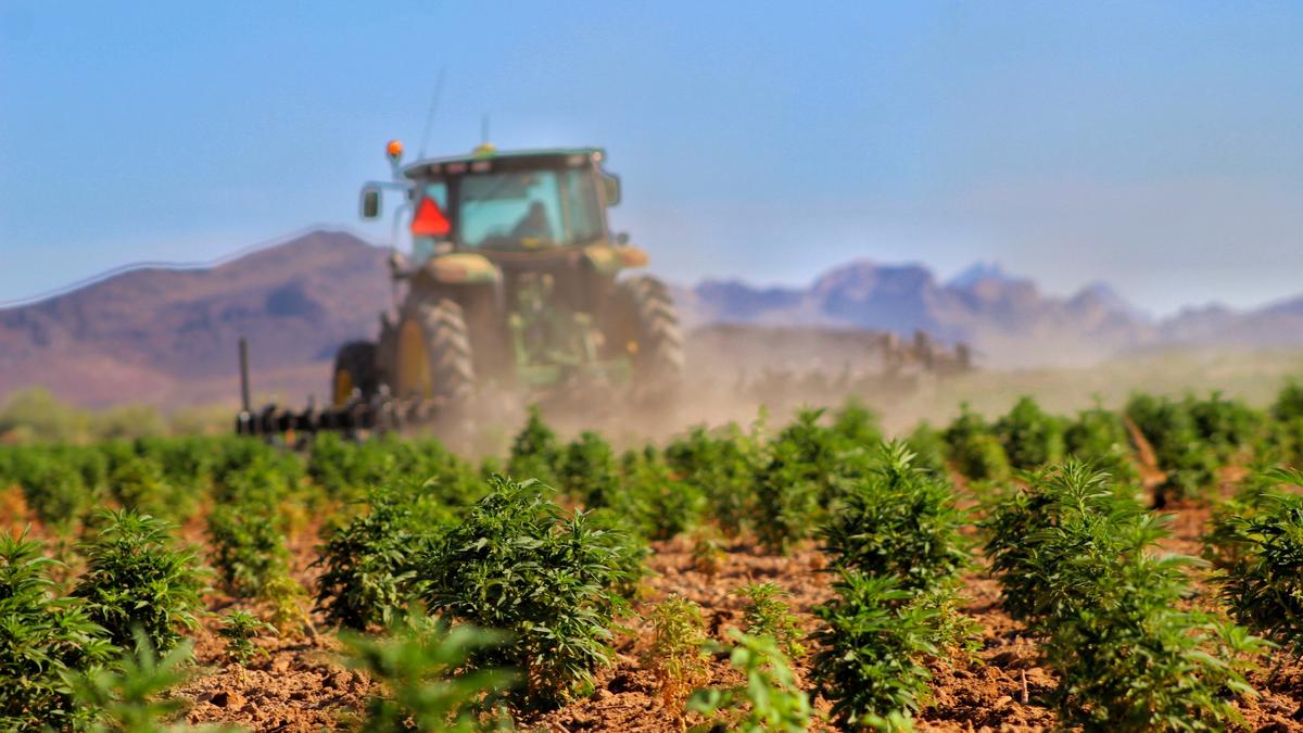 Integrated CBD closes $50M funding round - Phoenix Business Journal