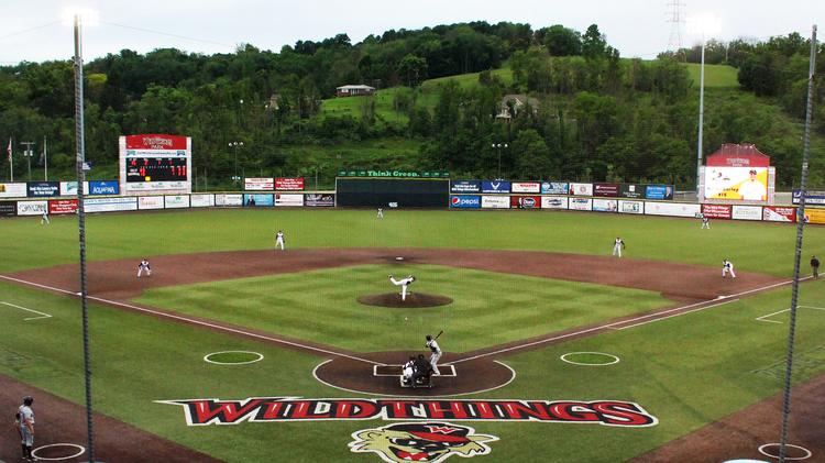 Washington Wild Things join expanded independent baseball league ...