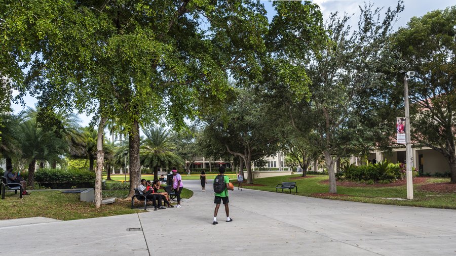 Barry University