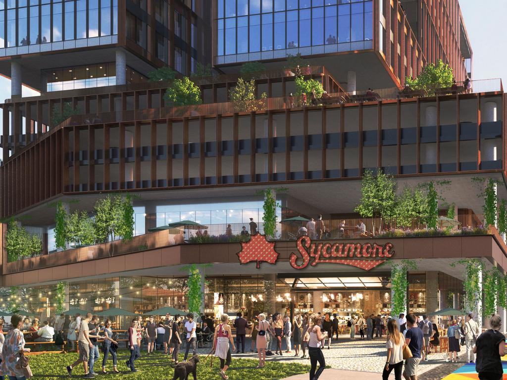 Sycamore Brewing Company Profile - The Business Journals