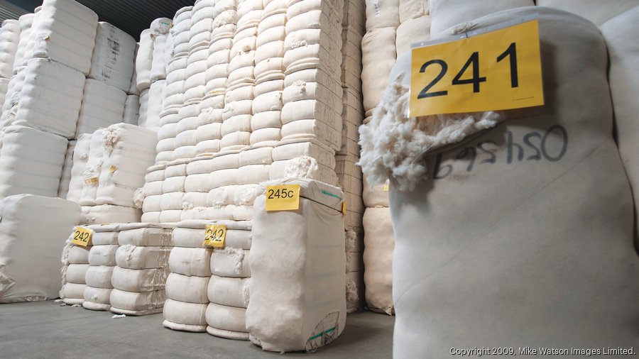 Fastest Growing Companies 2019: Diversified Conveyors, Dufresne Spencer ...