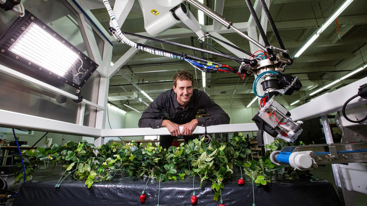 Sunnyvale-based startup Traptic brings a gentle hand to robotic fruit ...