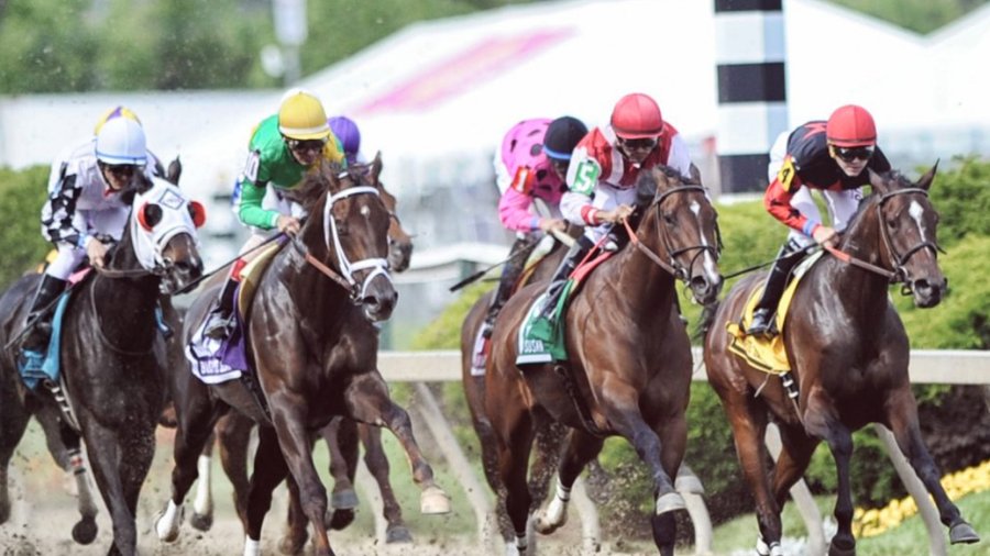 Allied Sports selling first presenting sponsorships for Preakness ...