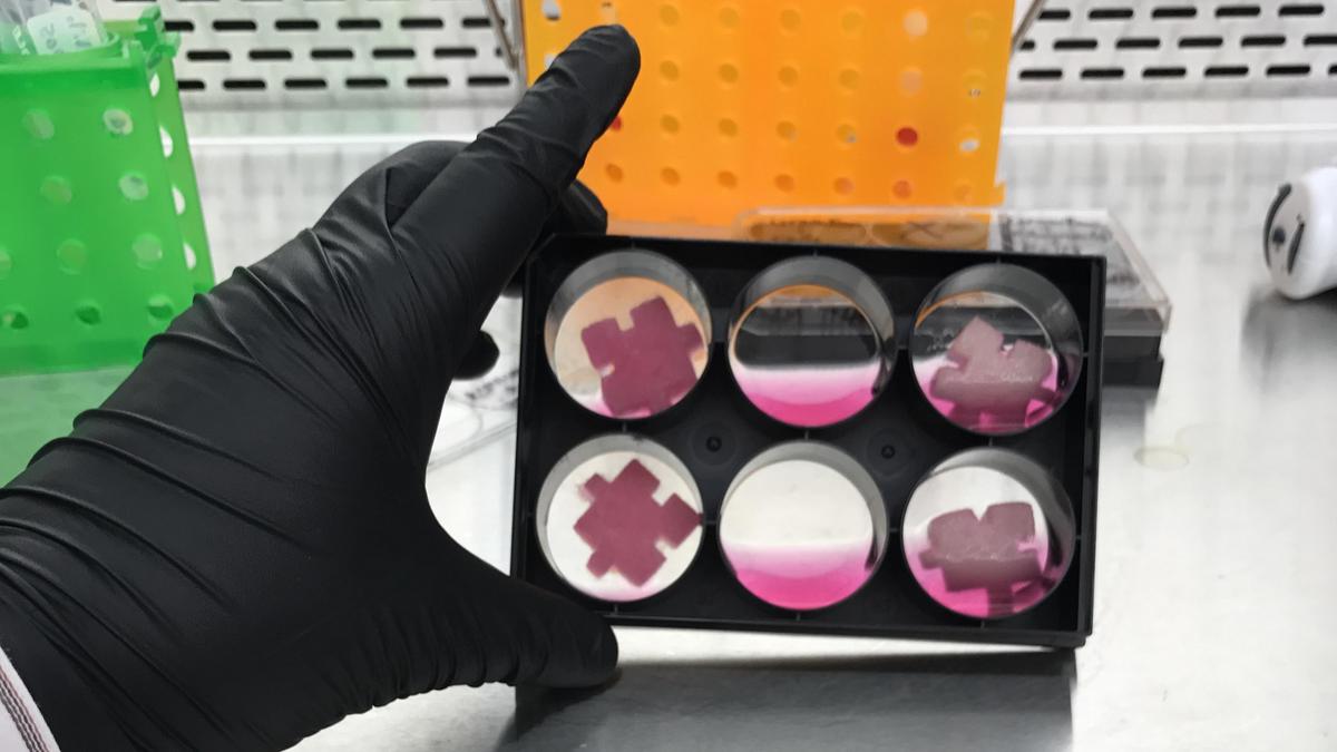 Ronawk launches Tissue Blocks, a 3-D stem cell growth platform - Kansas ...