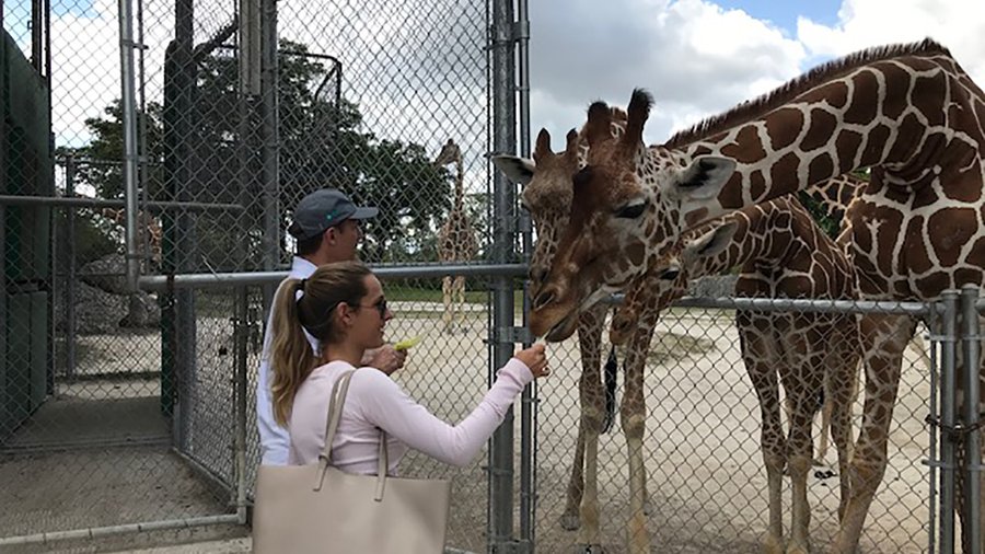 Zoo Miami 5240