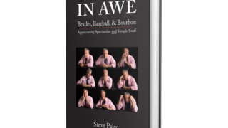 Real estate exec Steve Palec is publishing a book - Milwaukee Business ...