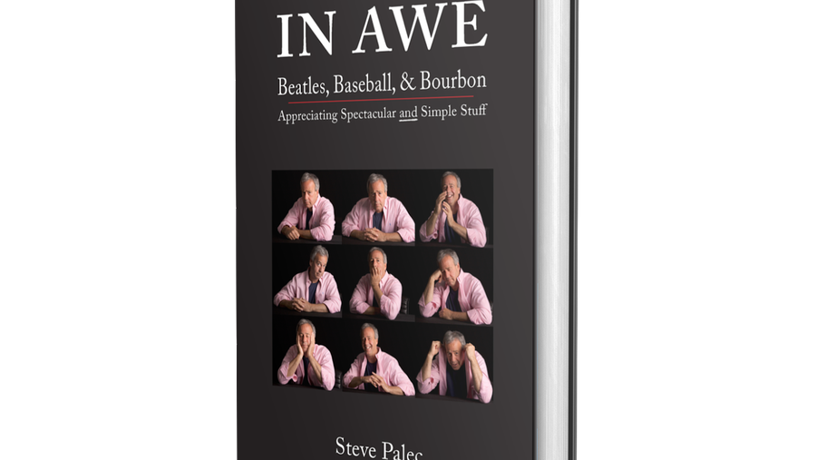 Real estate exec Steve Palec is publishing a book - Milwaukee Business ...