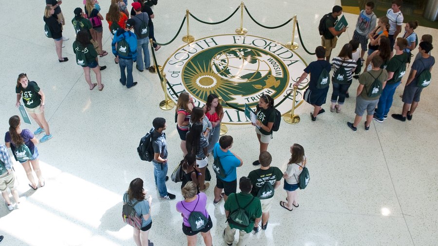 USF enrollment reaches record high - Tampa Bay Business Journal