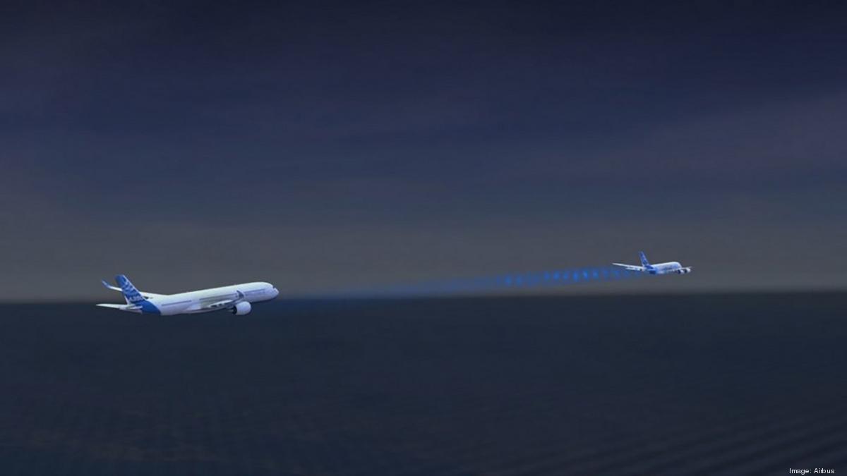 Airbus turns to geese for project designed to improve aircraft ...