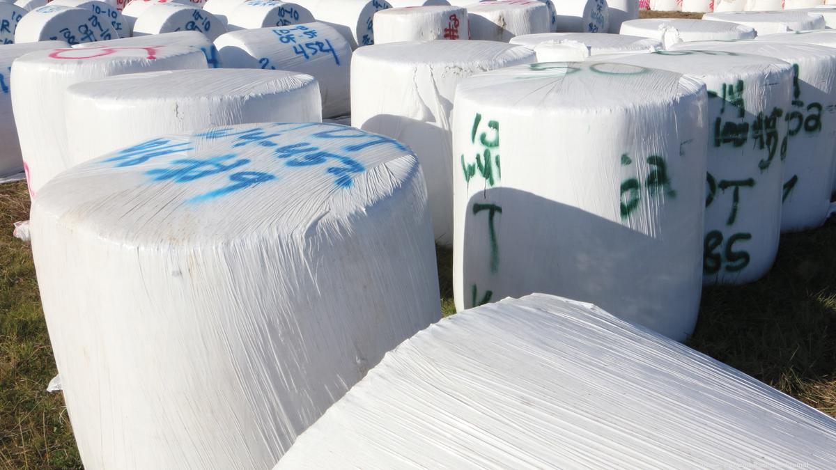 Florida issues consumer alert about Oregon hemp after alleged consumer ...