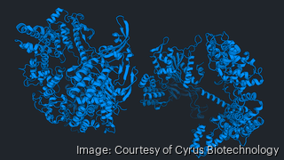 Cyrus Biotechnology partners with MIT, Harvard to find safer CRISPR ...