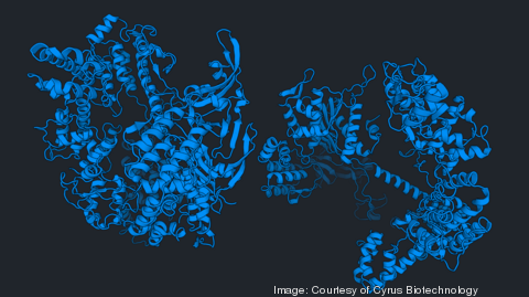 Cyrus Biotechnology partners with MIT, Harvard to find safer CRISPR ...
