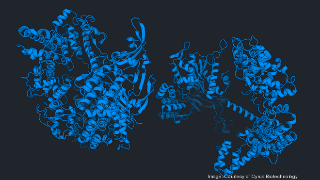 Cyrus Biotechnology partners with MIT, Harvard to find safer CRISPR ...