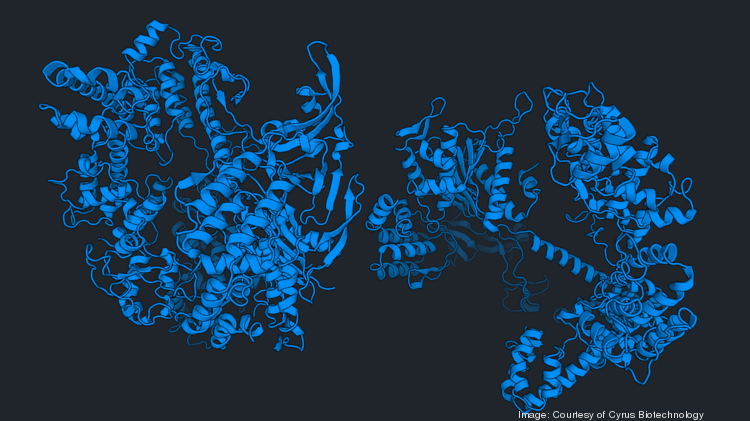 Cyrus Biotechnology partners with MIT, Harvard to find safer CRISPR ...