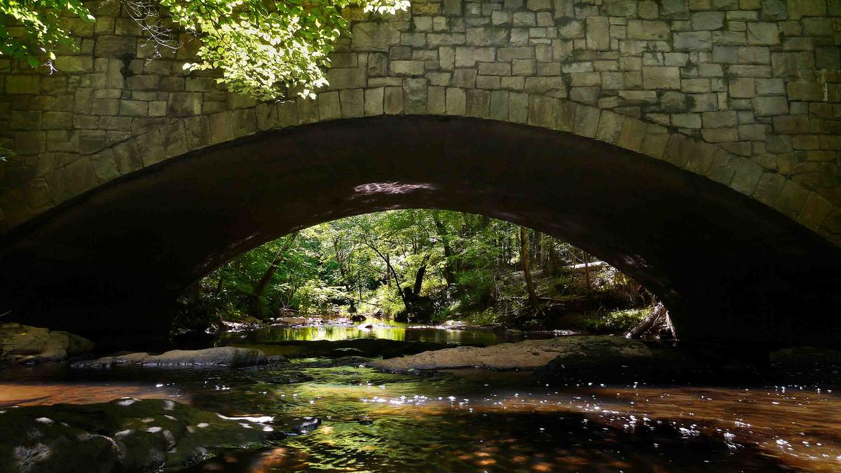 N.C. state parks achieve record attendance in 2016, Raleigh park saw ...