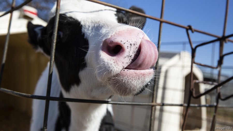 For N.C. State, Howling Cow ice cream changed the game - Triangle ...