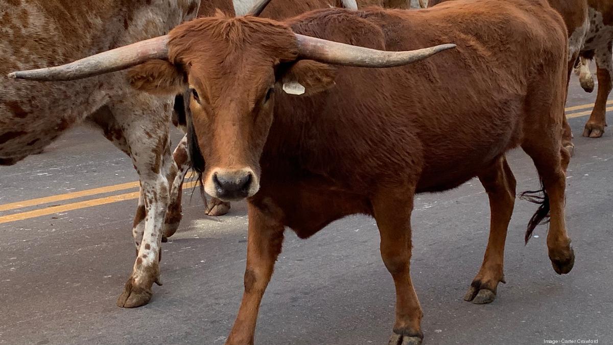 Editor’s Notebook: January brings yet another reason to love Colorado ...