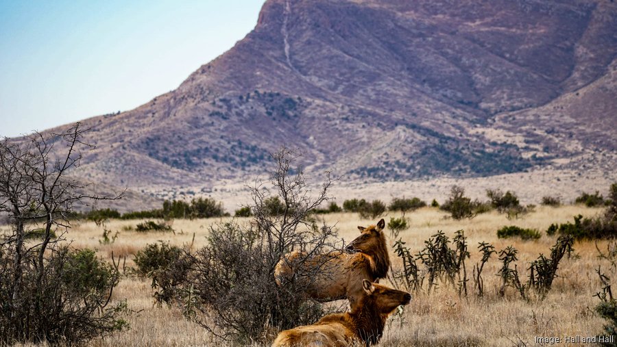 West Texas' BOSS Ranch hits the market for $18.5M (Photos) - Dallas ...
