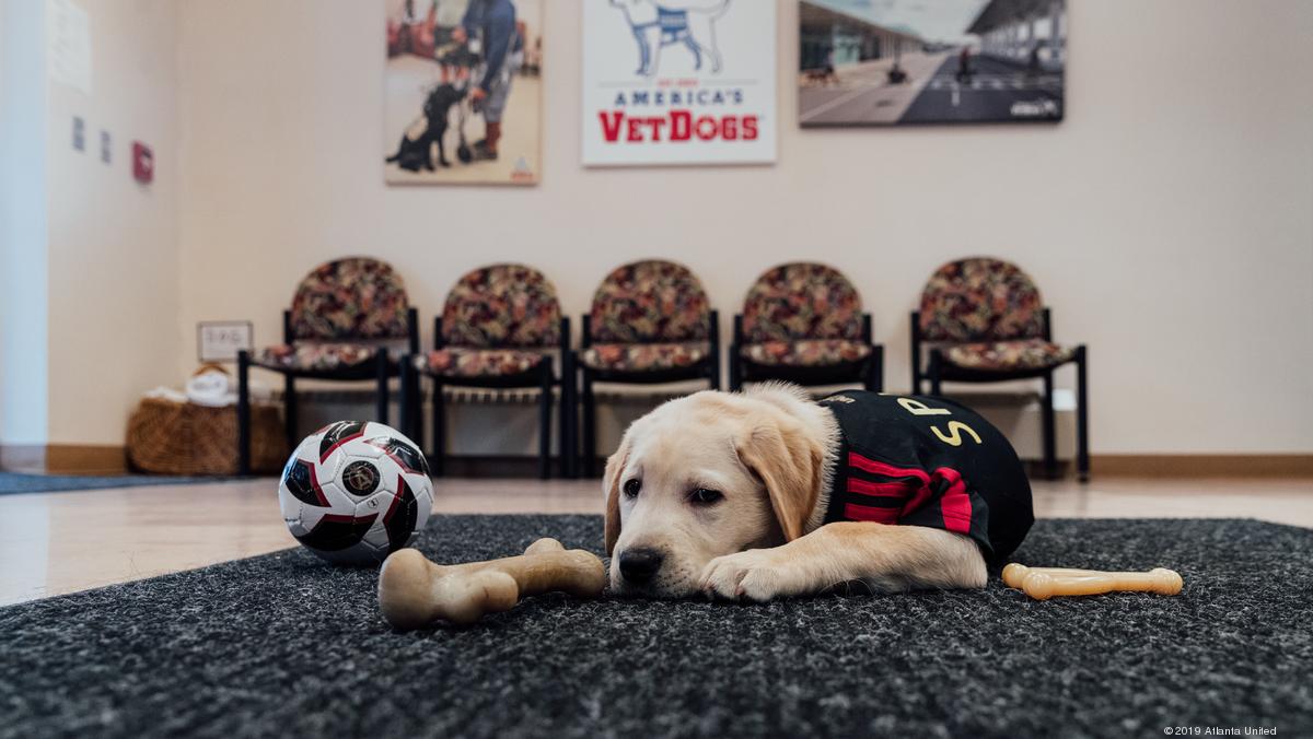 Atlanta United, America's VetDogs parner for MLS' first service dog ...