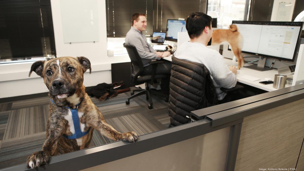Inside Rover's new dog-focused Seattle HQ (Photos) - Puget Sound ...