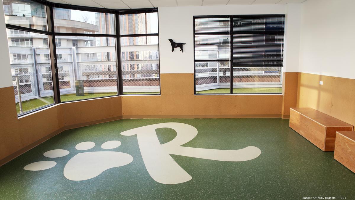 Rover CEO: Company's growth in past year has been 'crazy town' - Puget ...