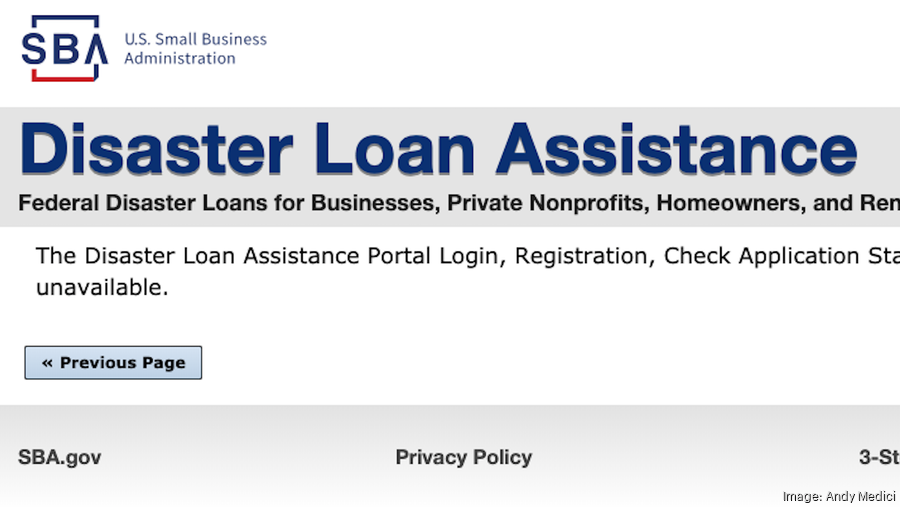 SBA disaster loans for coronavirus hit delays, website crashes ...