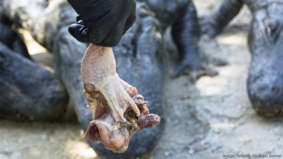 Orange County task force 'days' away from announcing reopening timeline ...