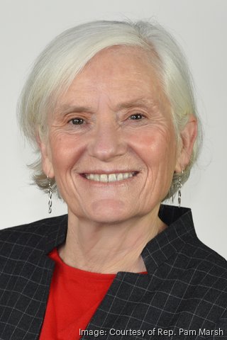 Oregon Rep. Pam Marsh calls for better learning through better online ...