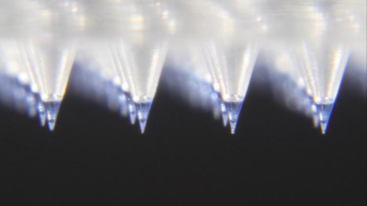 Vaxess Technologies gets funding from RA Capital after Phase 1 data ...