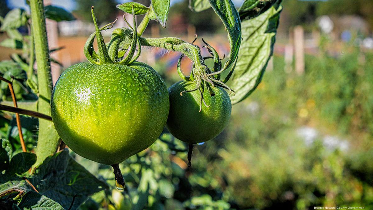 New tool helps shoppers find Howard County farms selling fresh food ...