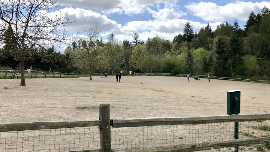 A stroll through Multnomah Village in the age of coronavirus (Photos ...