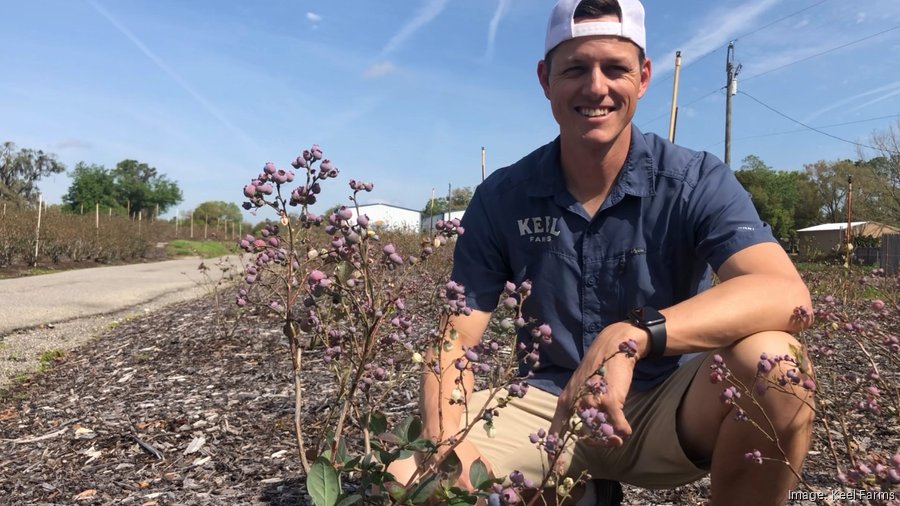 Clay Keel set family farm and winery in motion during pandemic - Tampa ...