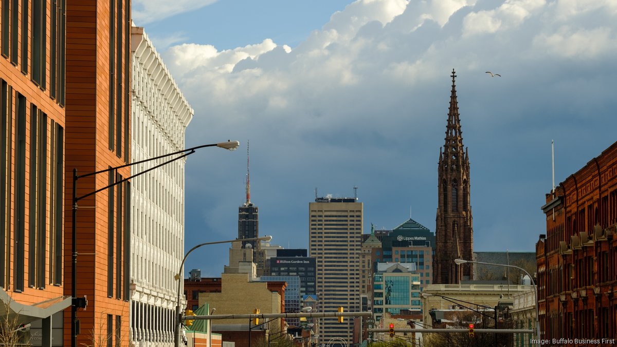 Buffalo Black Billion advances plan for market in Fruit Belt - Buffalo ...