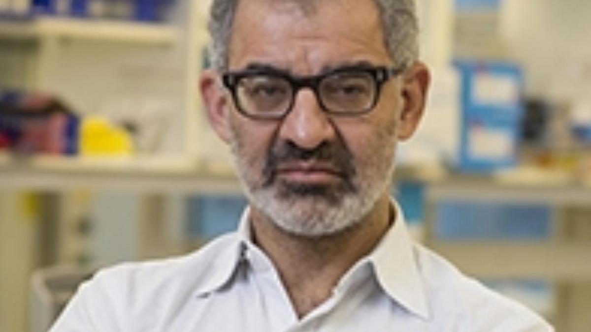 Biotech layoffs 2023: Flagship-backed Evelo Biosciences cuts nearly ...