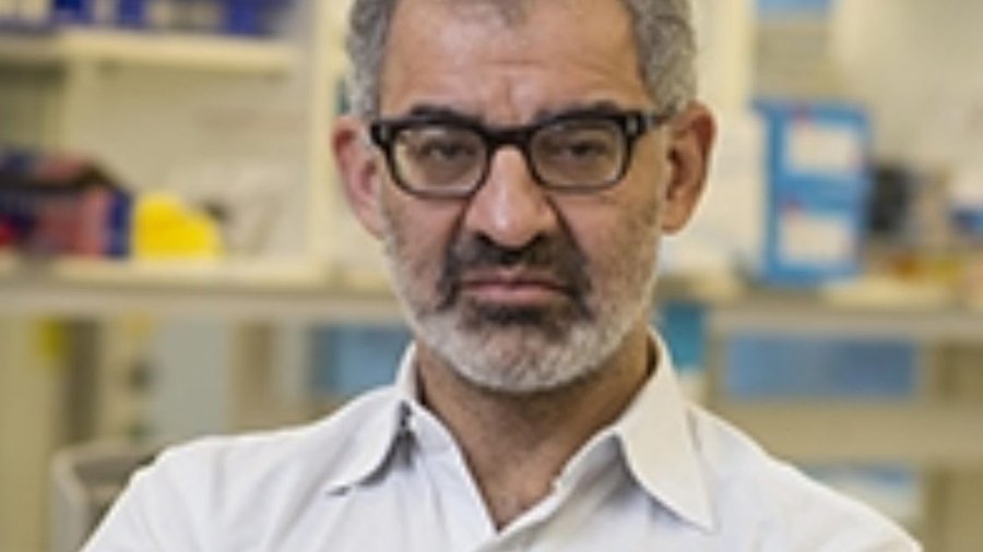 Flagship-backed Evelo Biosciences to dissolve after failure of failed ...