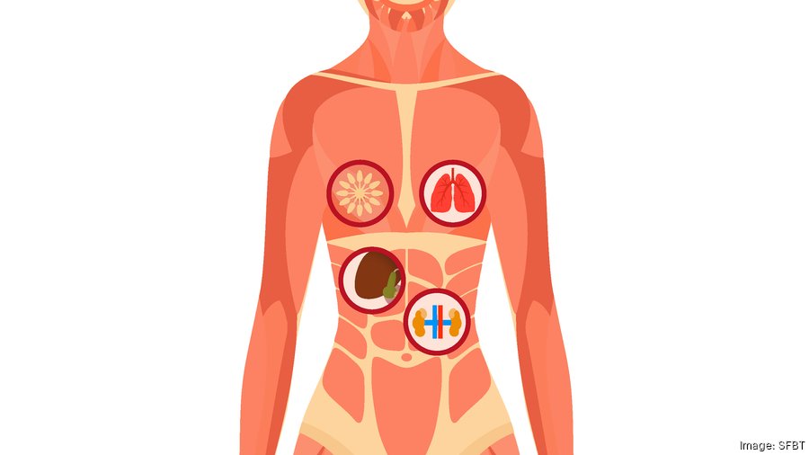 Paragon 28 acquisition drives Colorado bioscience to record $3.2B ...