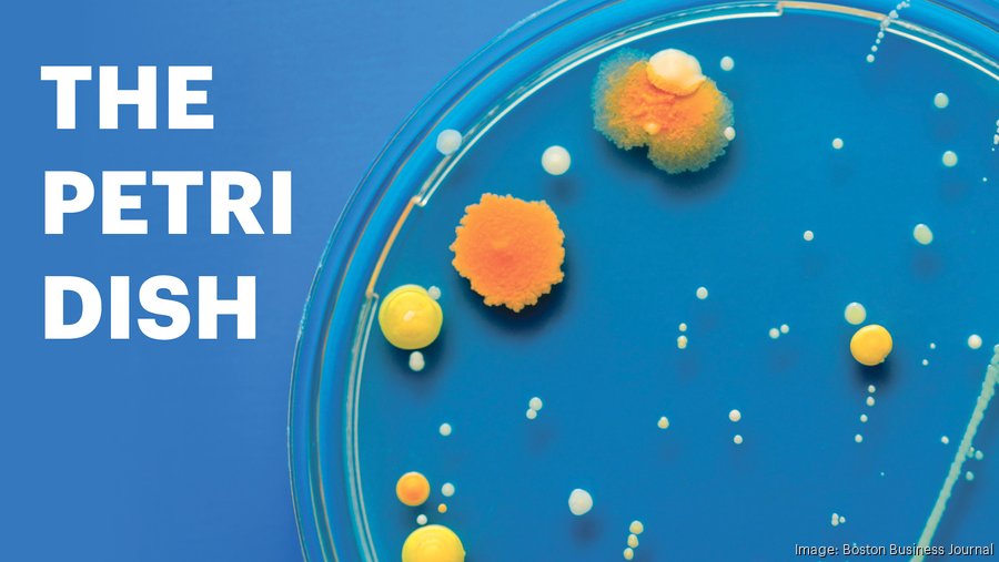 Petri Dish: Arch Therapeutic CFO, Xilio’s AbbVie deal, Q32 Bio’s ...