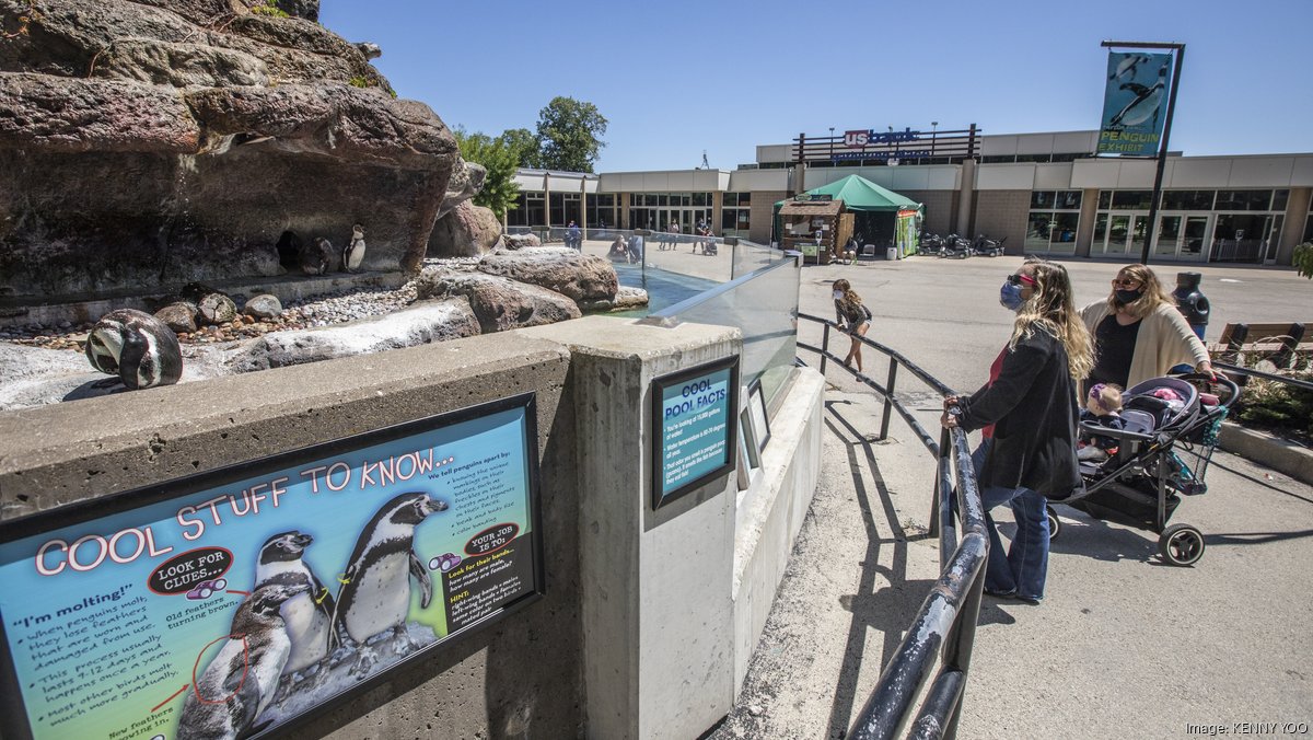 Milwaukee County Zoo to upgrade Humboldt penguin exhibit, remake front ...