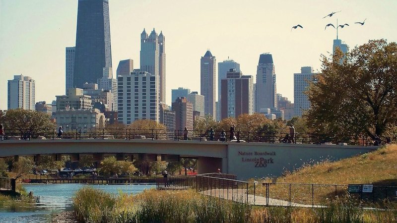 Chicago Tech Startups to Watch in 2015 - Chicago Business Journal