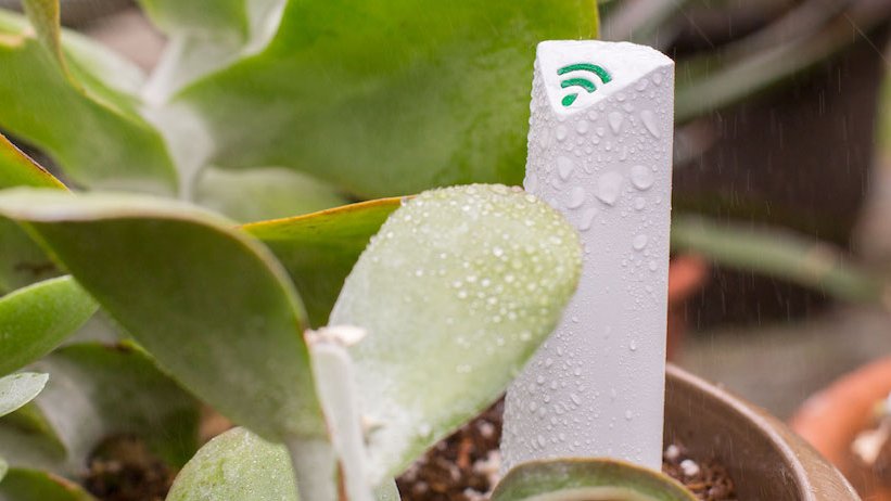 IoT Garden Care Startup PlantLink Acquired by Scotts Miracle-Gro ...