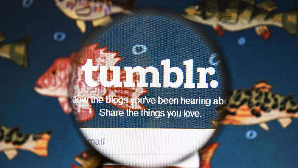 How Tumblr Will Figure Out Your Favorite Brands - Washington Business ...