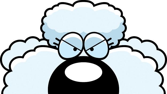 Google: Watch Out for the Poodle Bug - Washington Business Journal