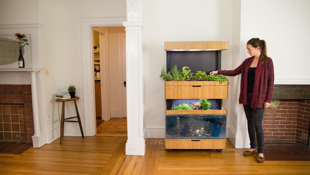 BostInno - Grove's Indoor Veggie Growing Systems Are Now on Kickstarter