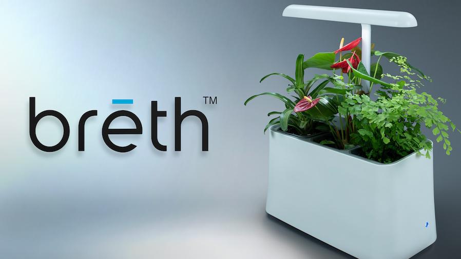 A DC Founder is Using Plant Filters to Clean Your Air - Washington ...